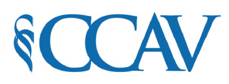 Cemetery Governance - CCAV