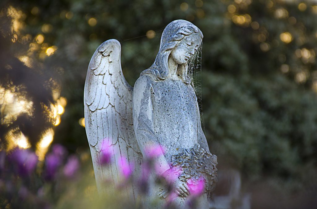 CCAV Purpose and Ethics - Statement of Purpose